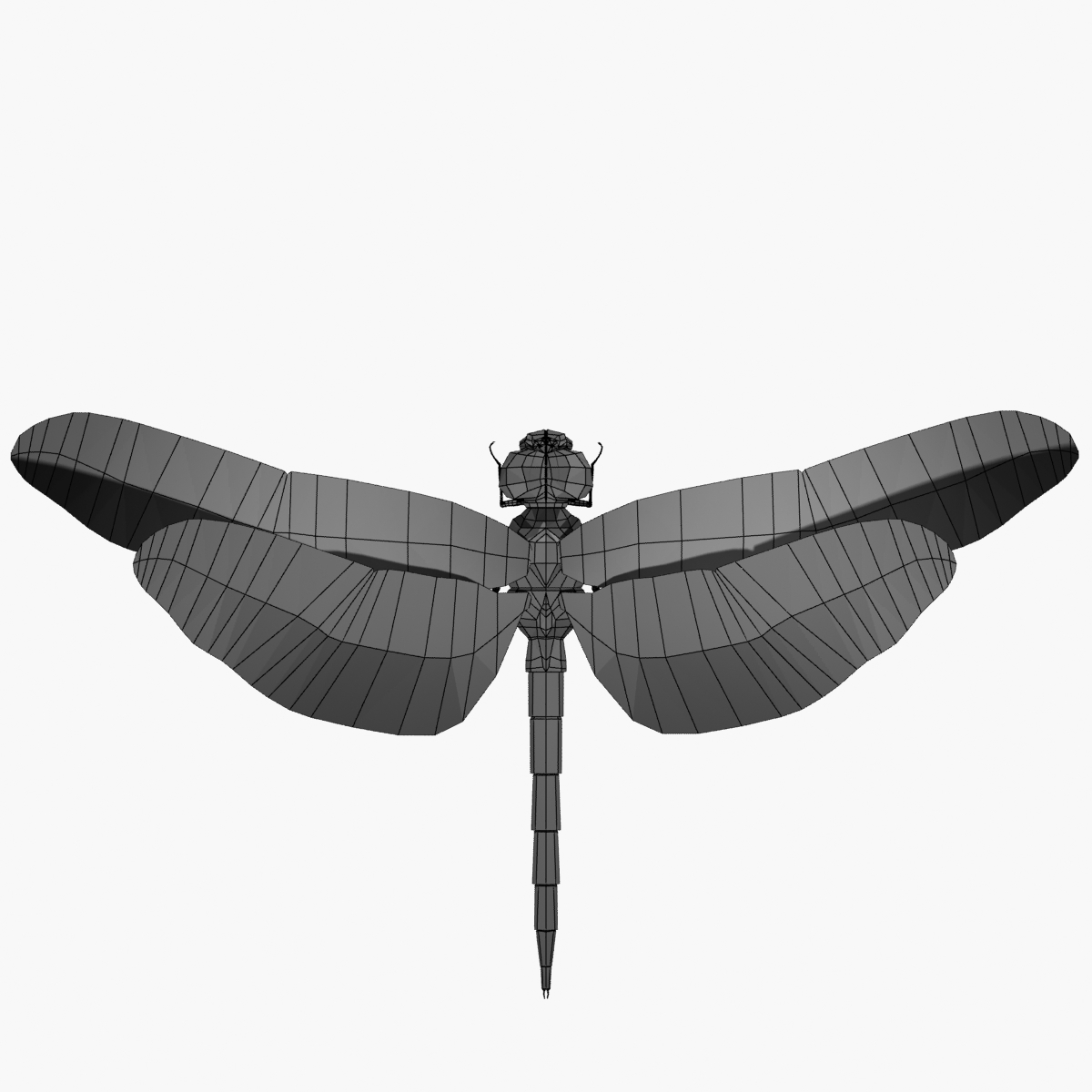 max dragonfly flying