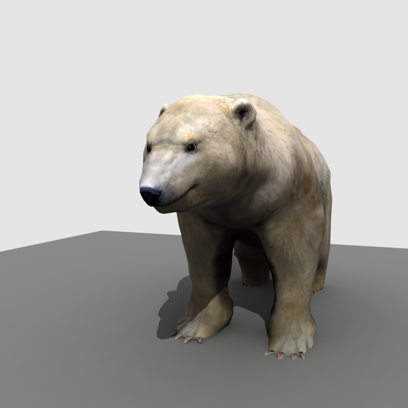 polar bear animations 3d model