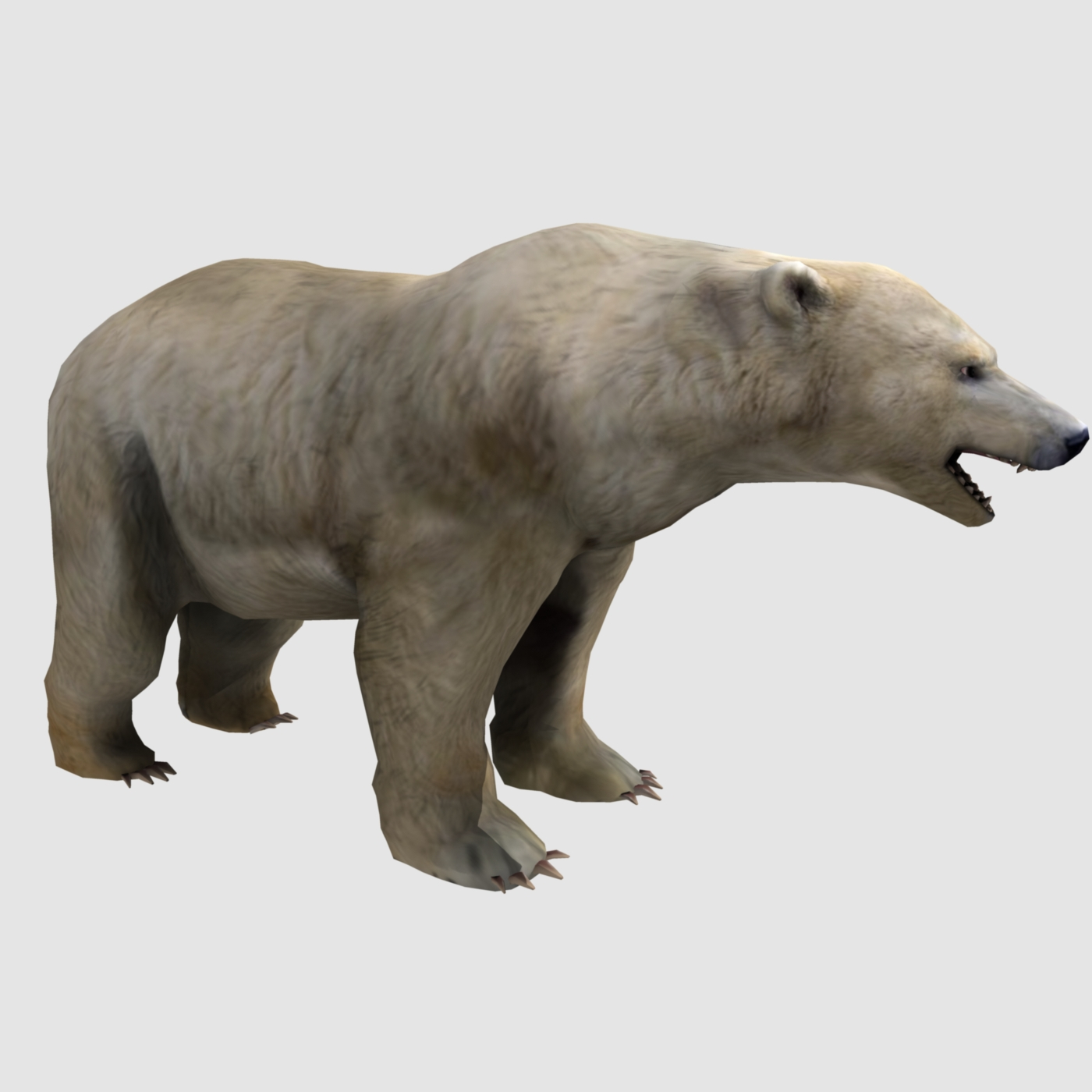 polar bear animations 3d model