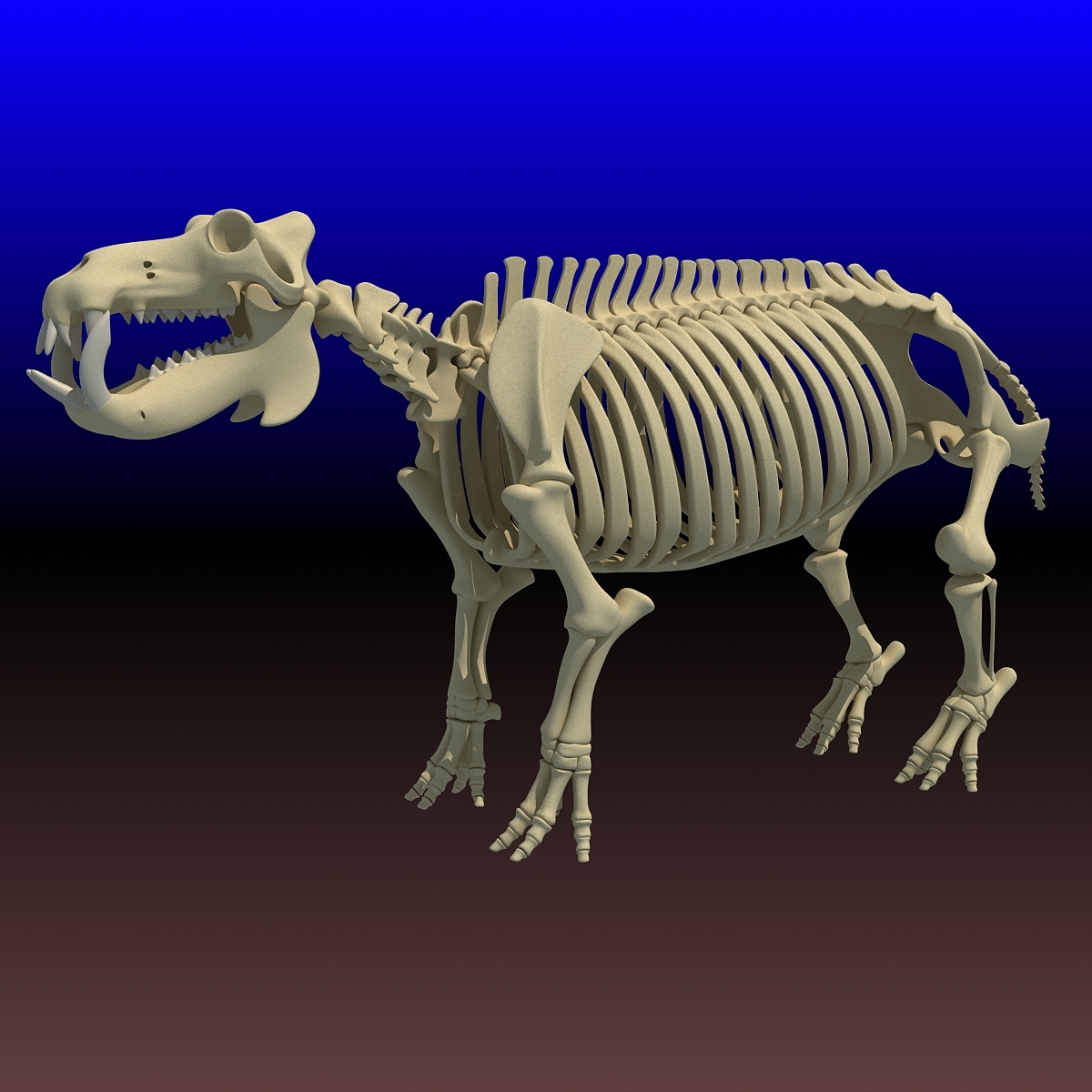 3dsmax hippopotamus river horse skeleton