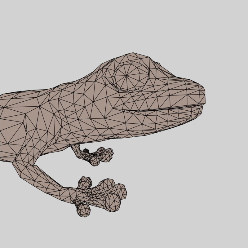 model realistic gecko animations