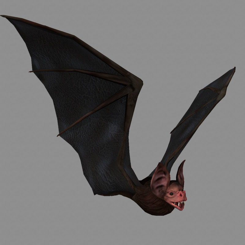 maya vampire bat rig