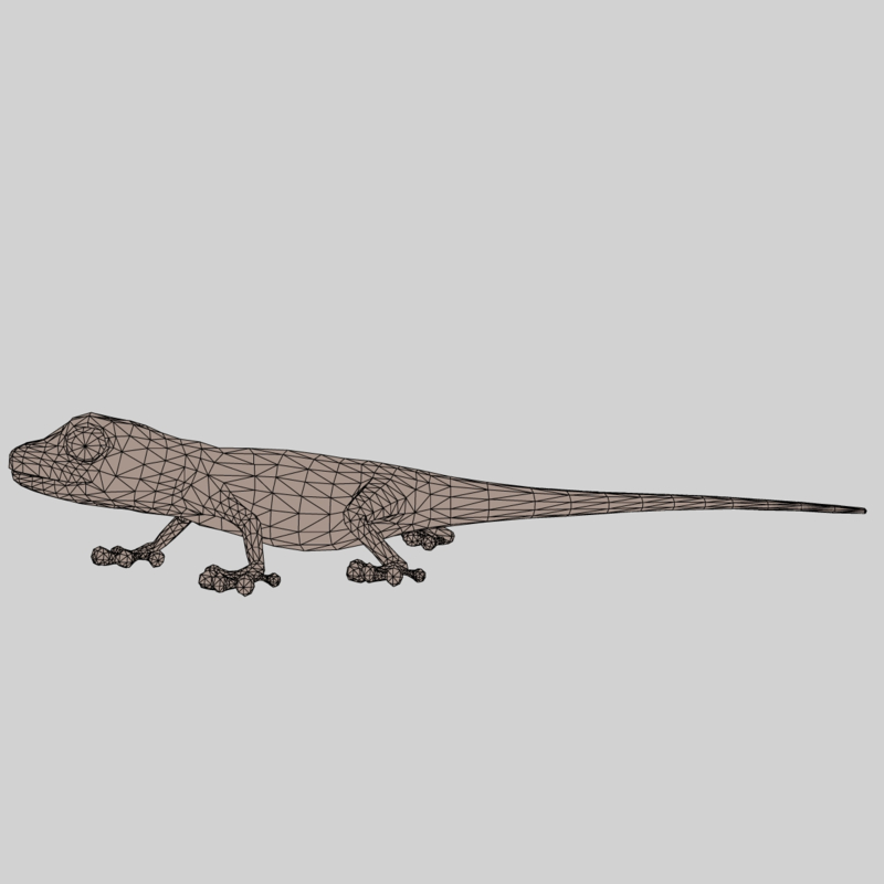model realistic gecko animations