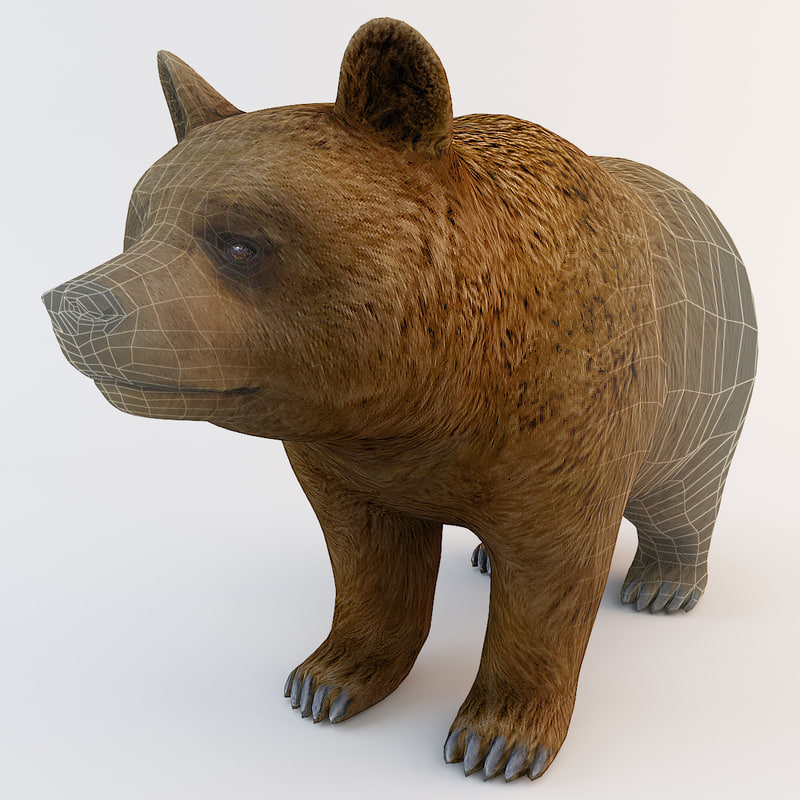 c4d brown bear