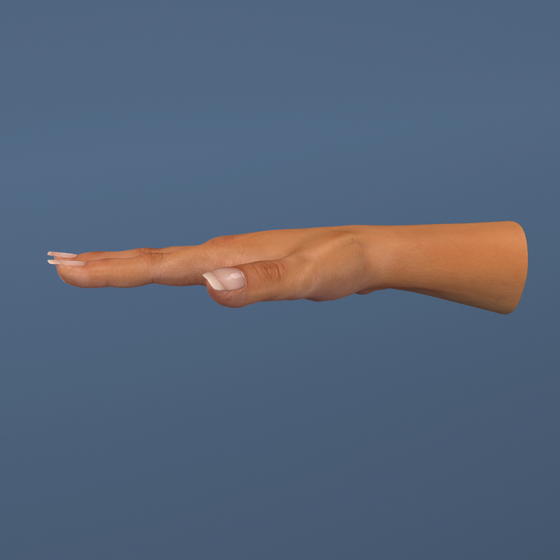 max realistic hand female