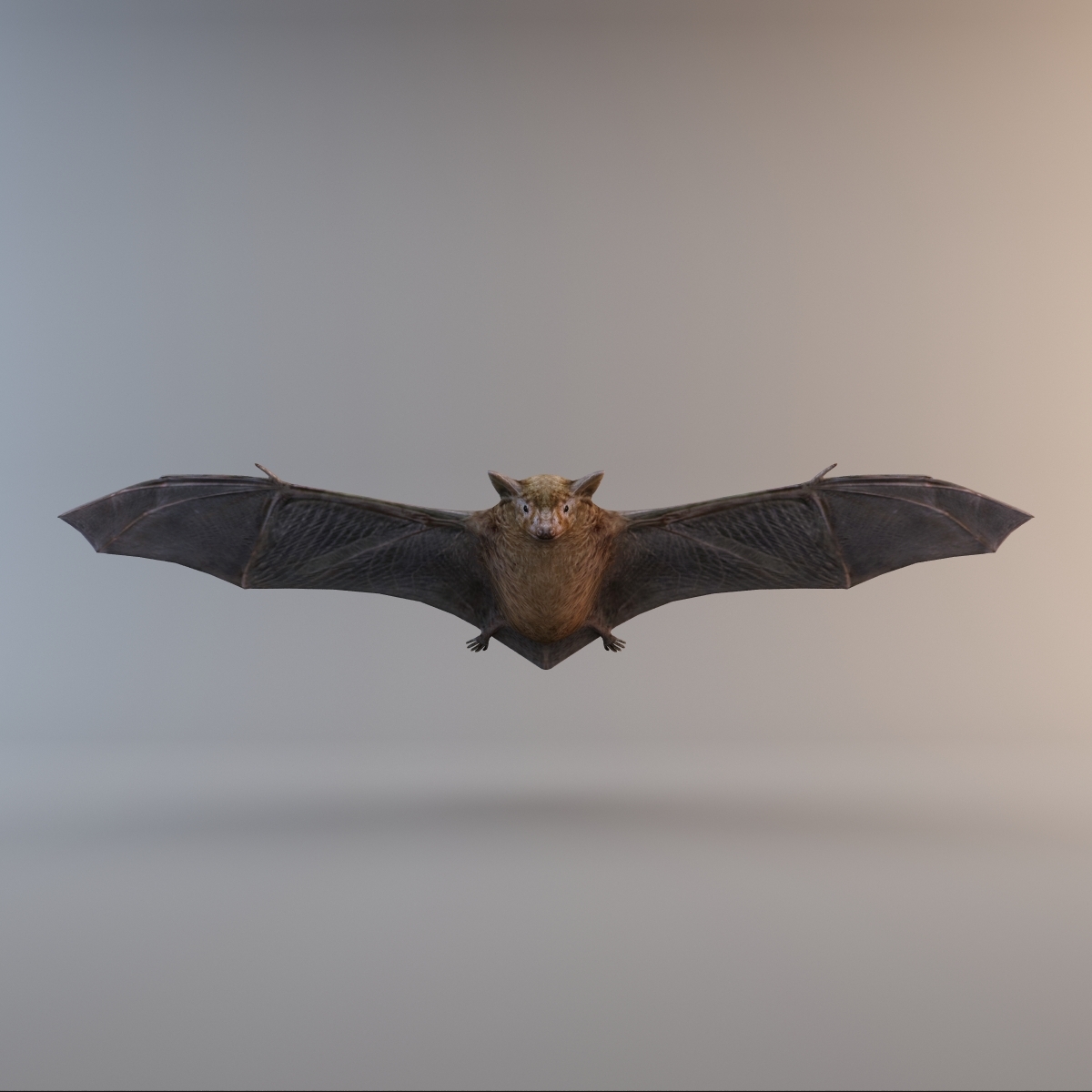 3ds max brown bat