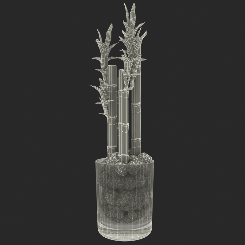 3d lucky bamboo 4 model