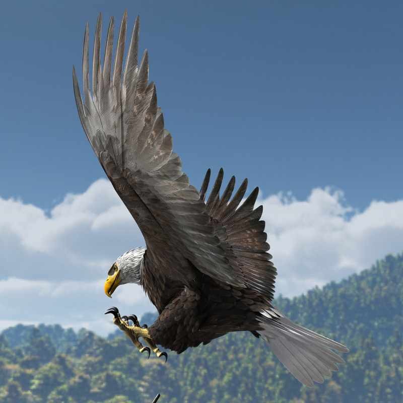 3d rigged lightwave eagle