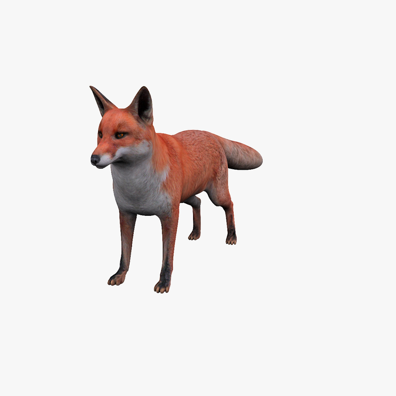 3ds max red fox