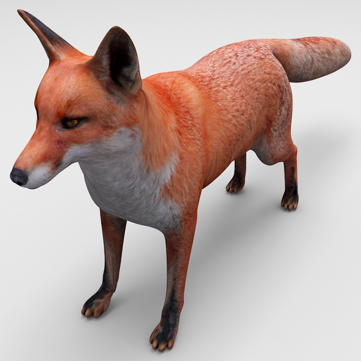 3ds max red fox