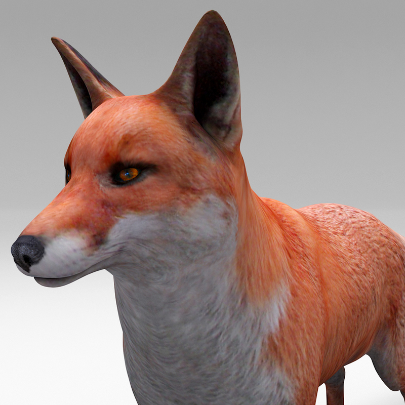 3ds max red fox