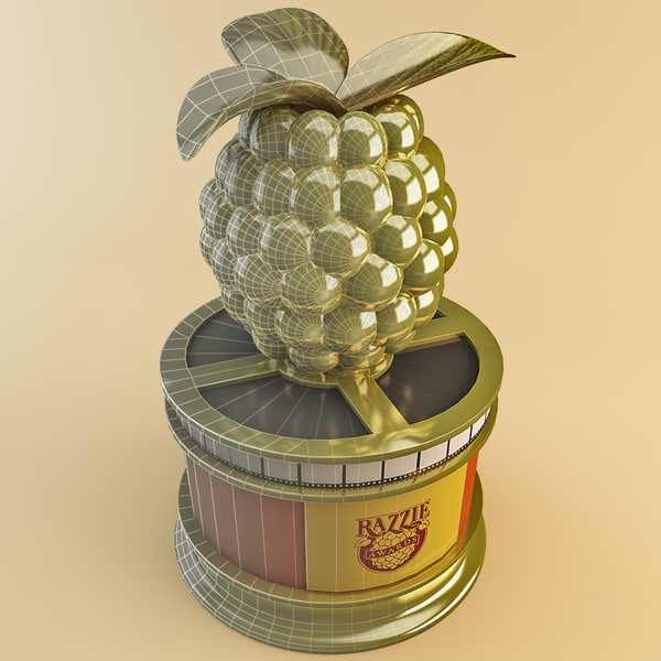 razzie award 3ds