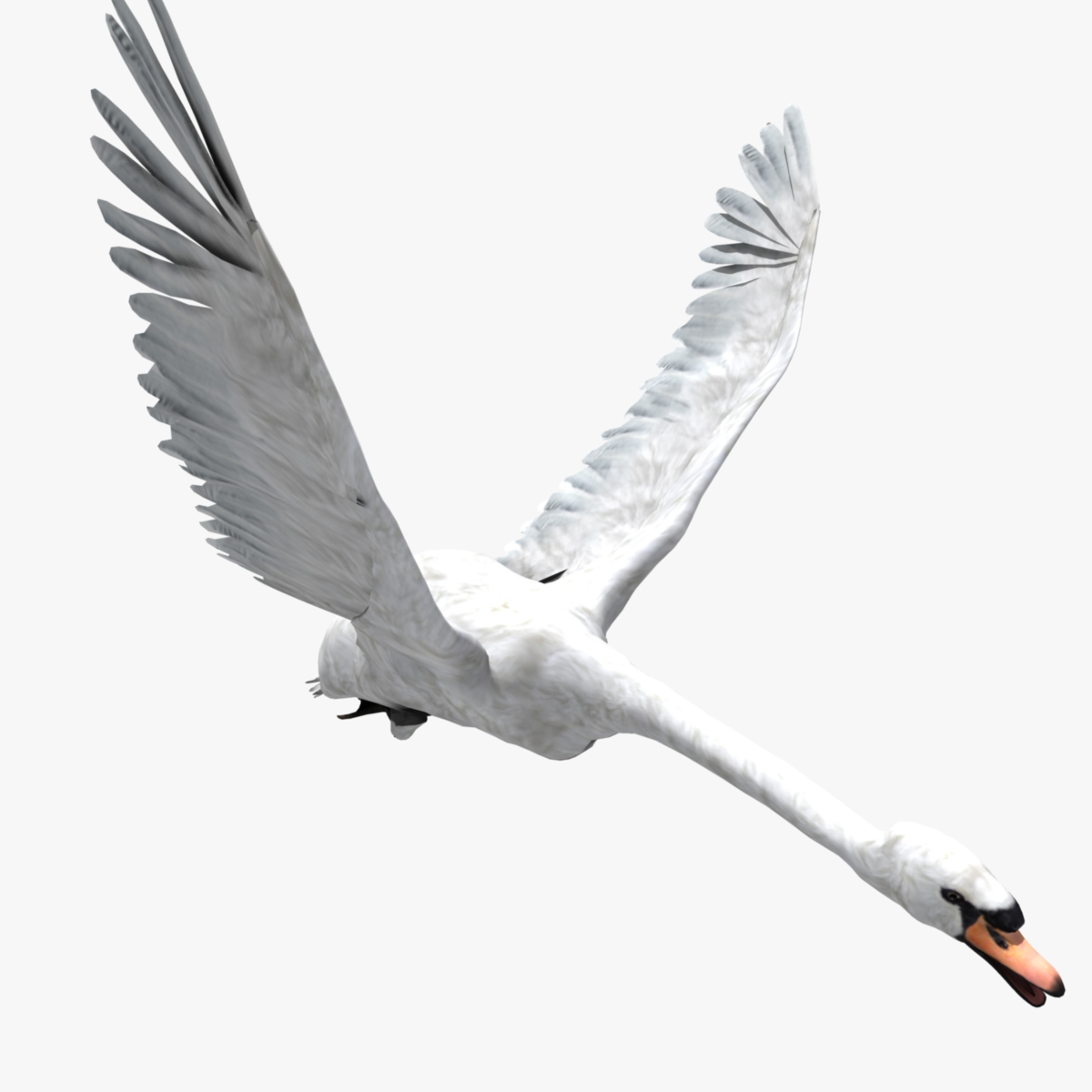 swan animators 3d model