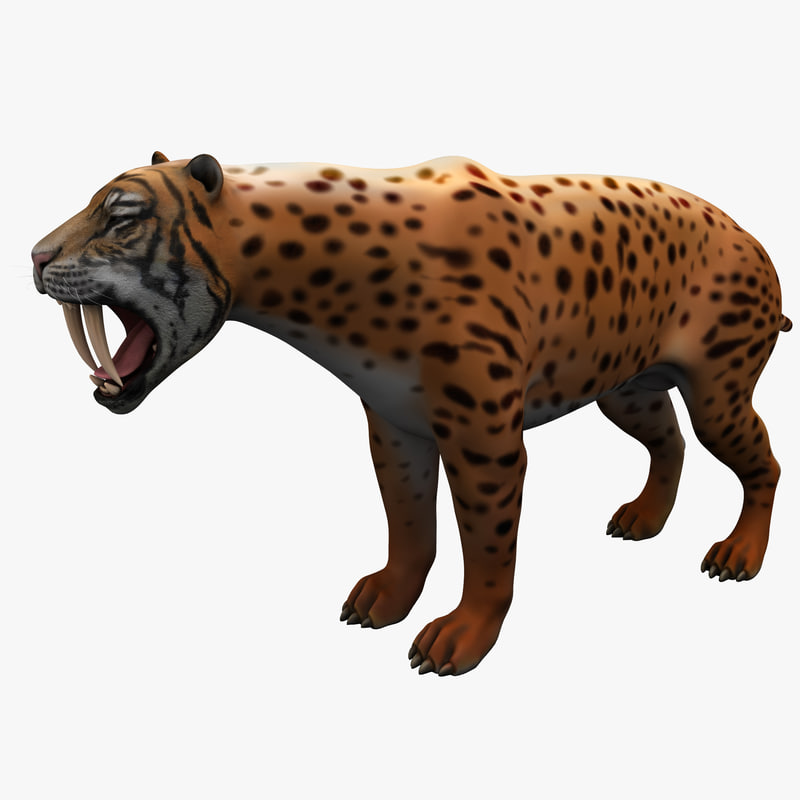 3d smilodon model