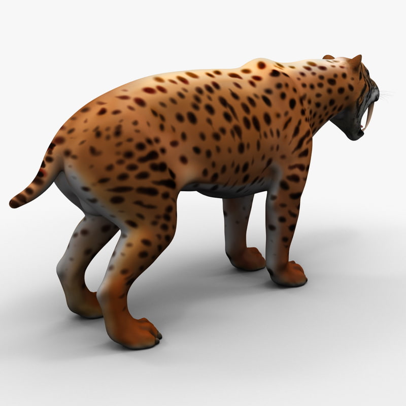 3d smilodon model
