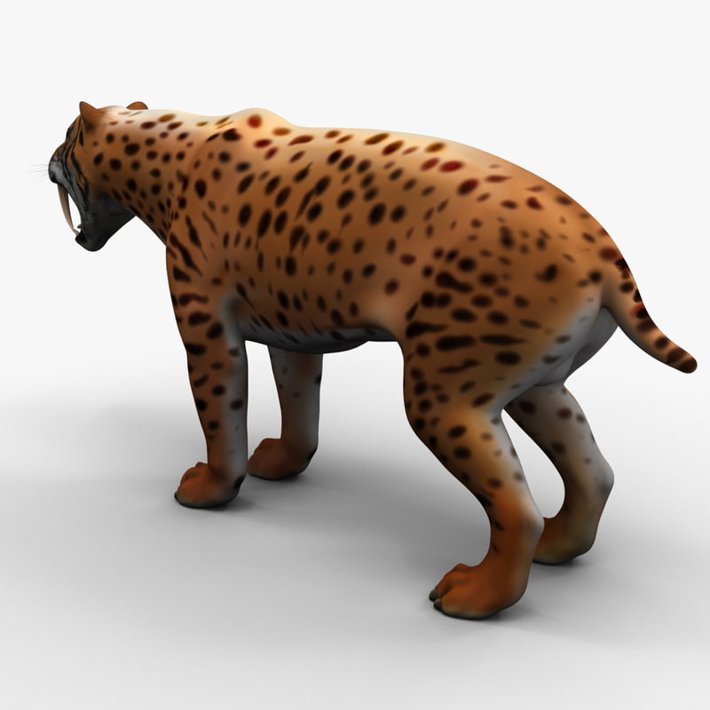 3d smilodon model