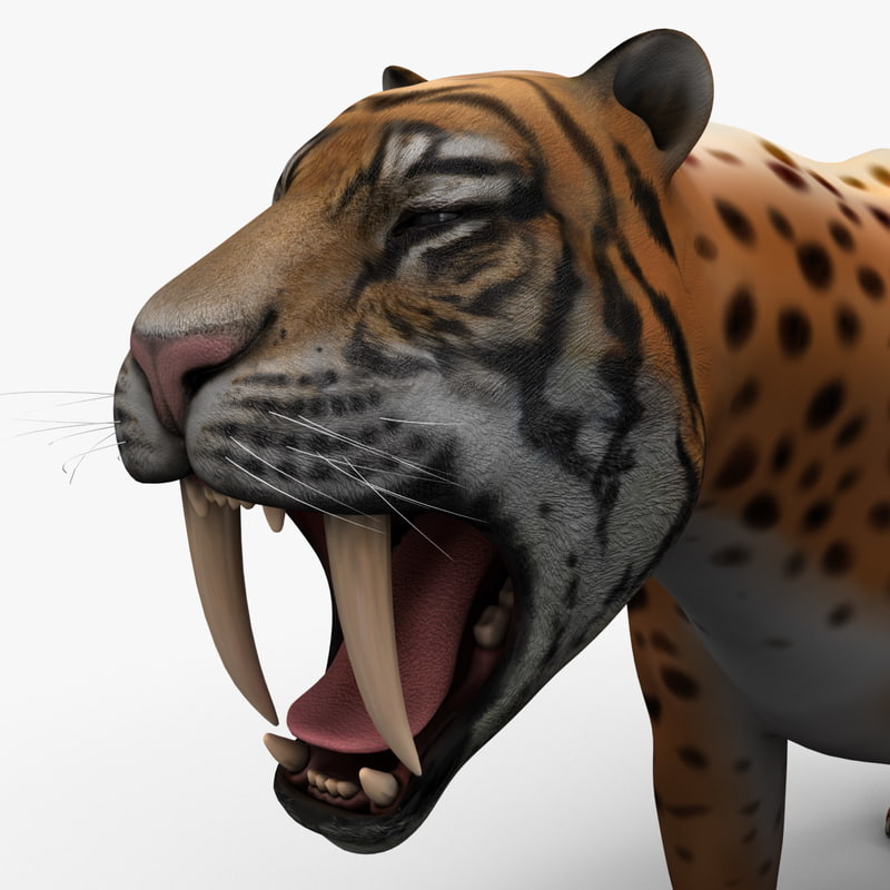 3d smilodon model
