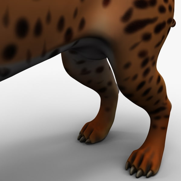 3d Smilodon Model