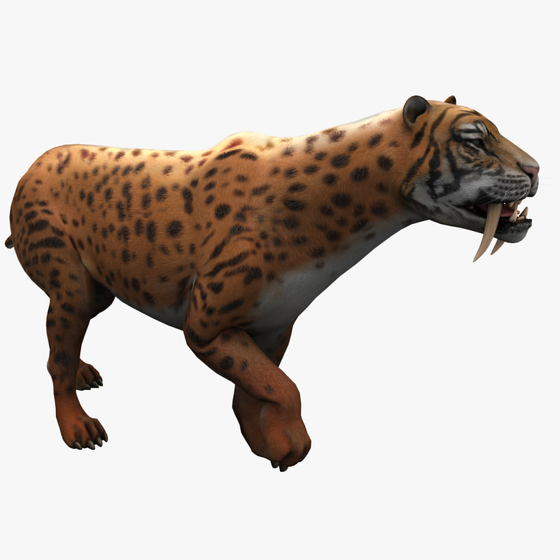 smilodon 2 pose 1 3d model