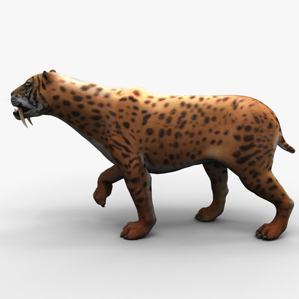 smilodon 2 pose 1 3d model
