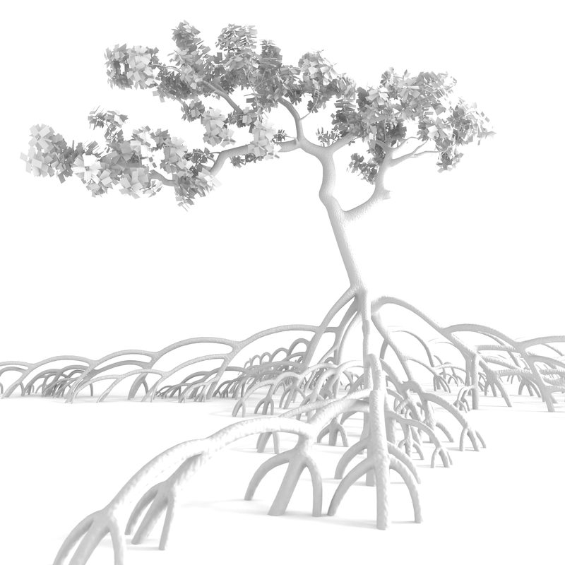 mangrove tree 3ds