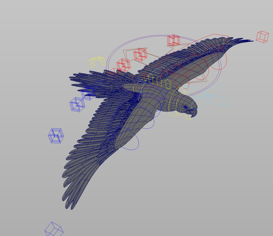 maya parrot animator 2