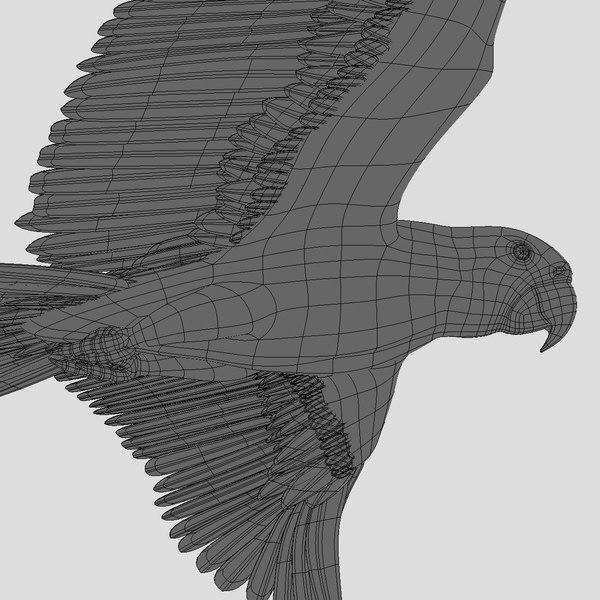 maya parrot animator 2