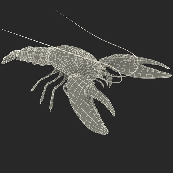 lobster 3d c4d