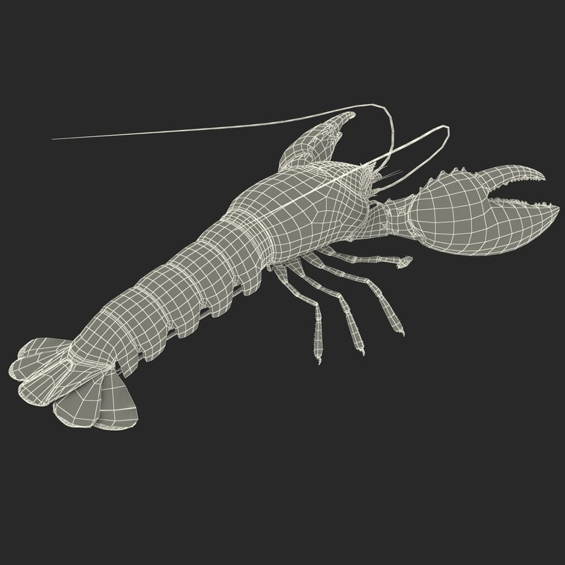 lobster 3d c4d