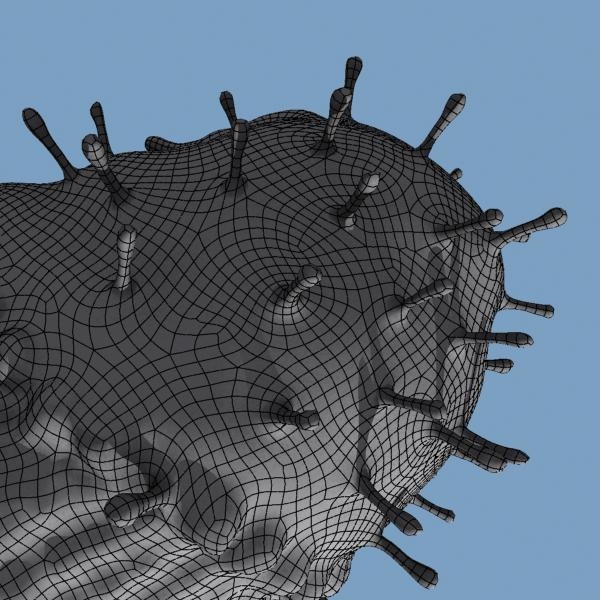 rabies virus 3d model