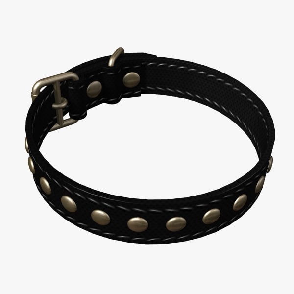 3D Collar Models | TurboSquid