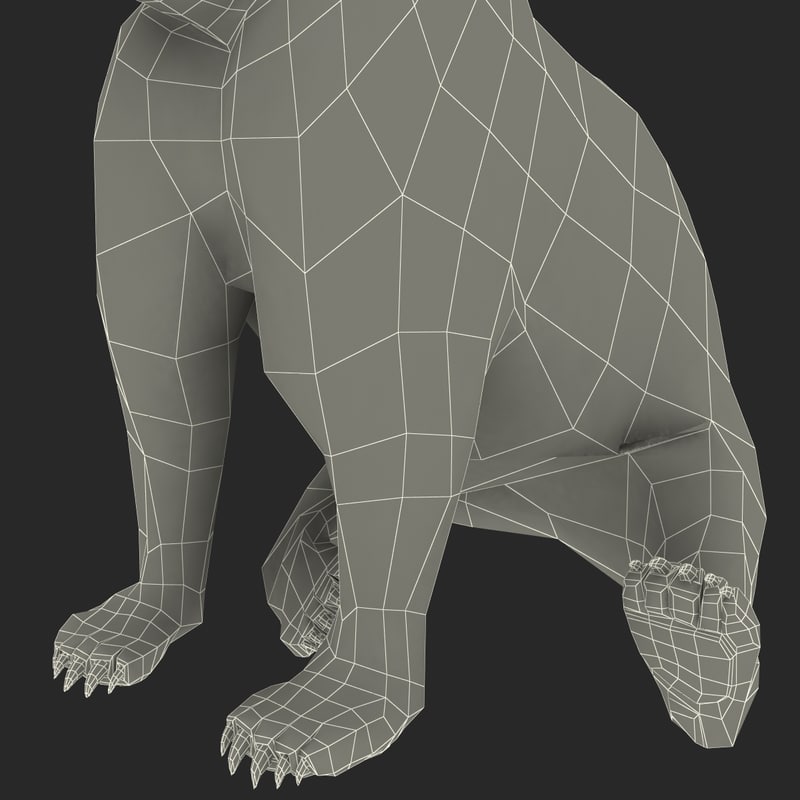 3d bear rigged