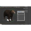 3d bear rigged