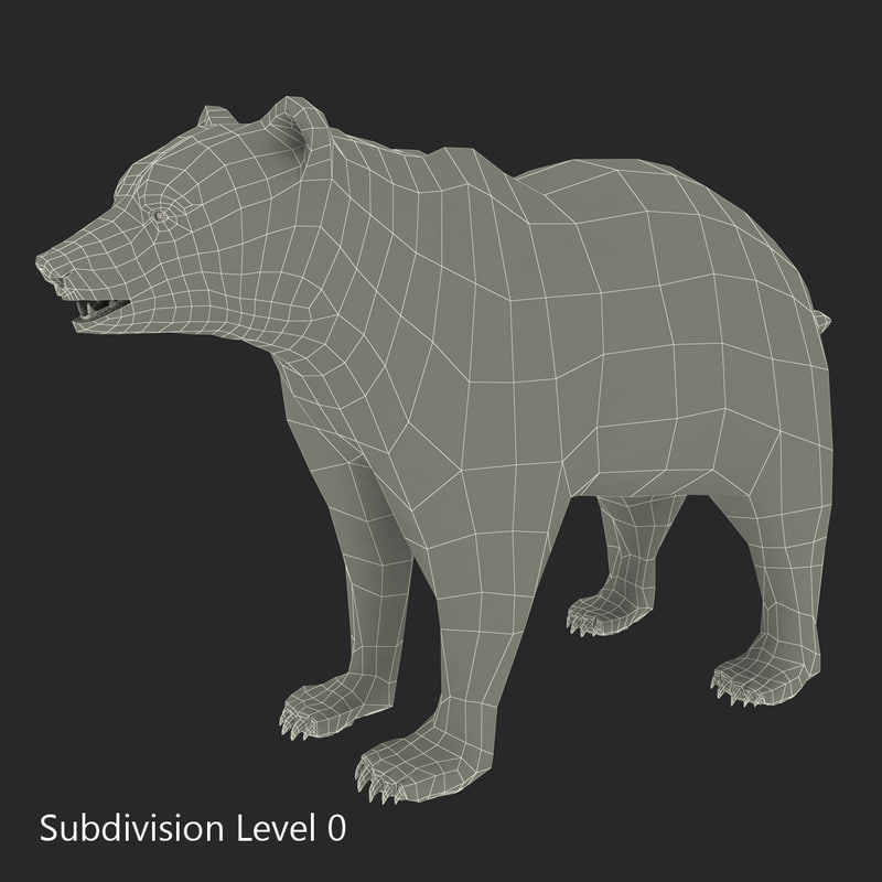 3d bear rigged