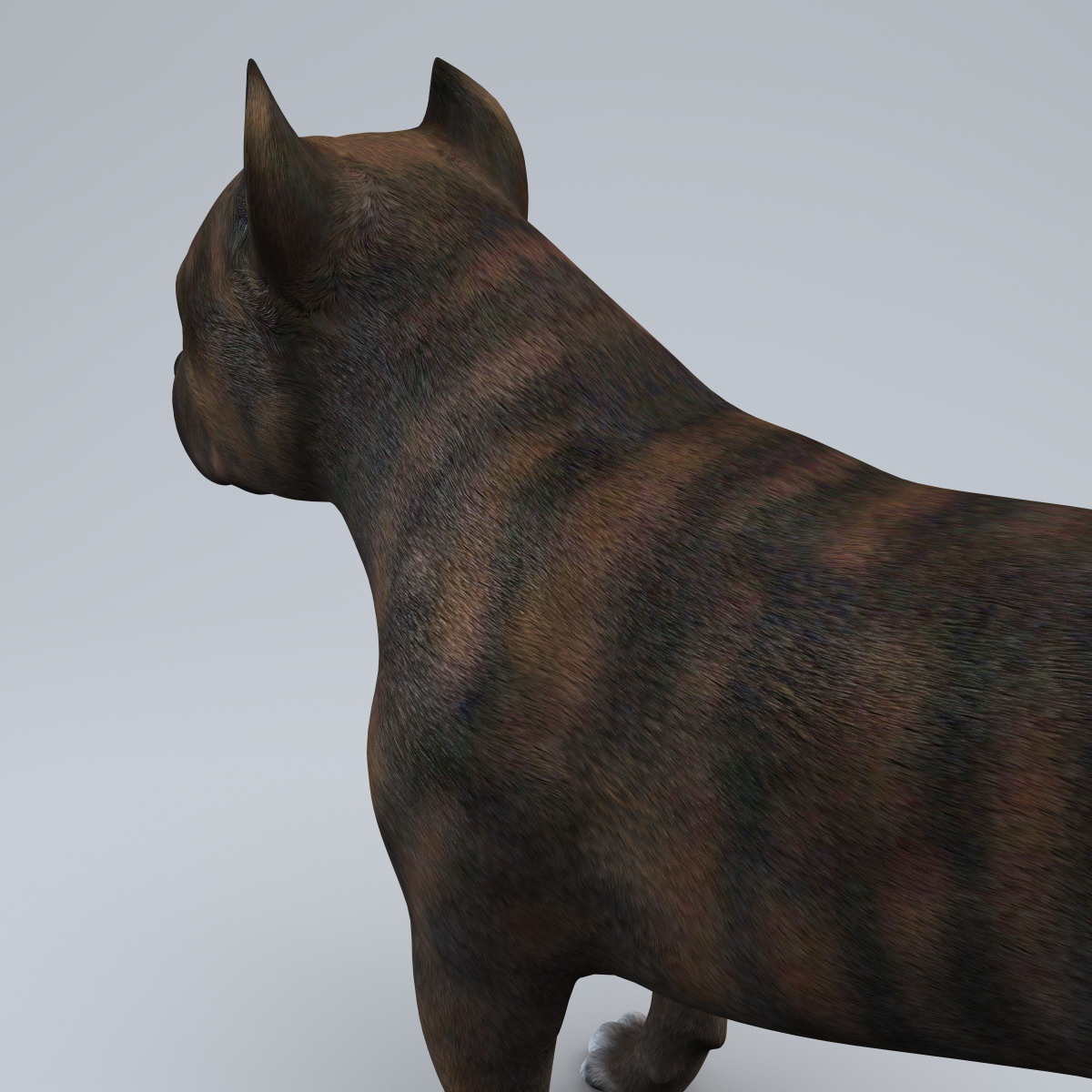 3d american staffordshire terrier