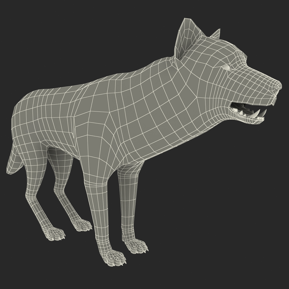 wolf animal 3d model
