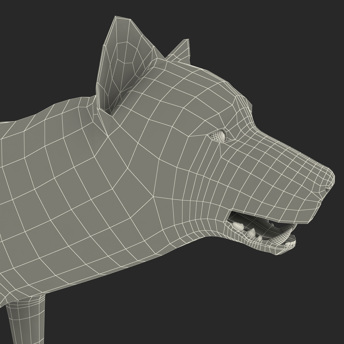 wolf animal 3d model