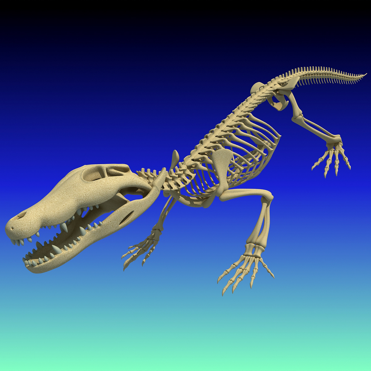 crocodile skeleton 3d max