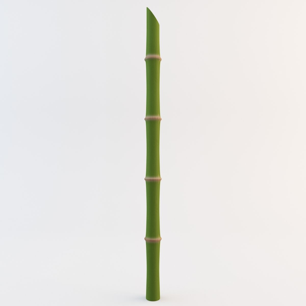bamboo stem 2 3d model
