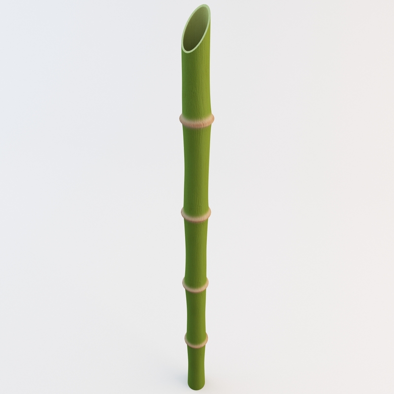 bamboo stem 2 3d model