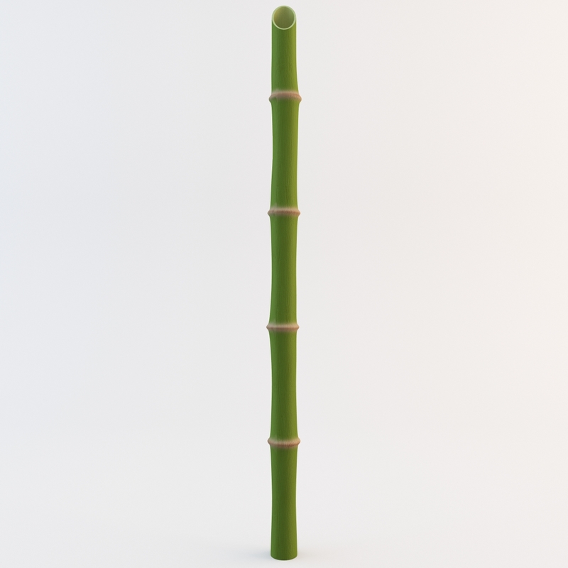 bamboo stem 2 3d model