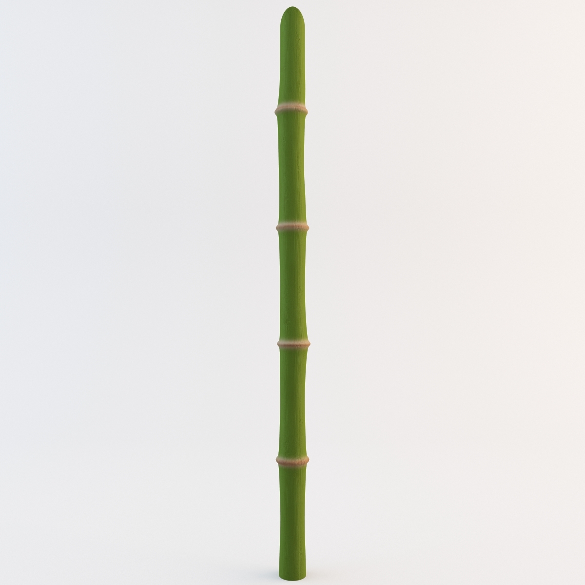 bamboo stem 2 3d model