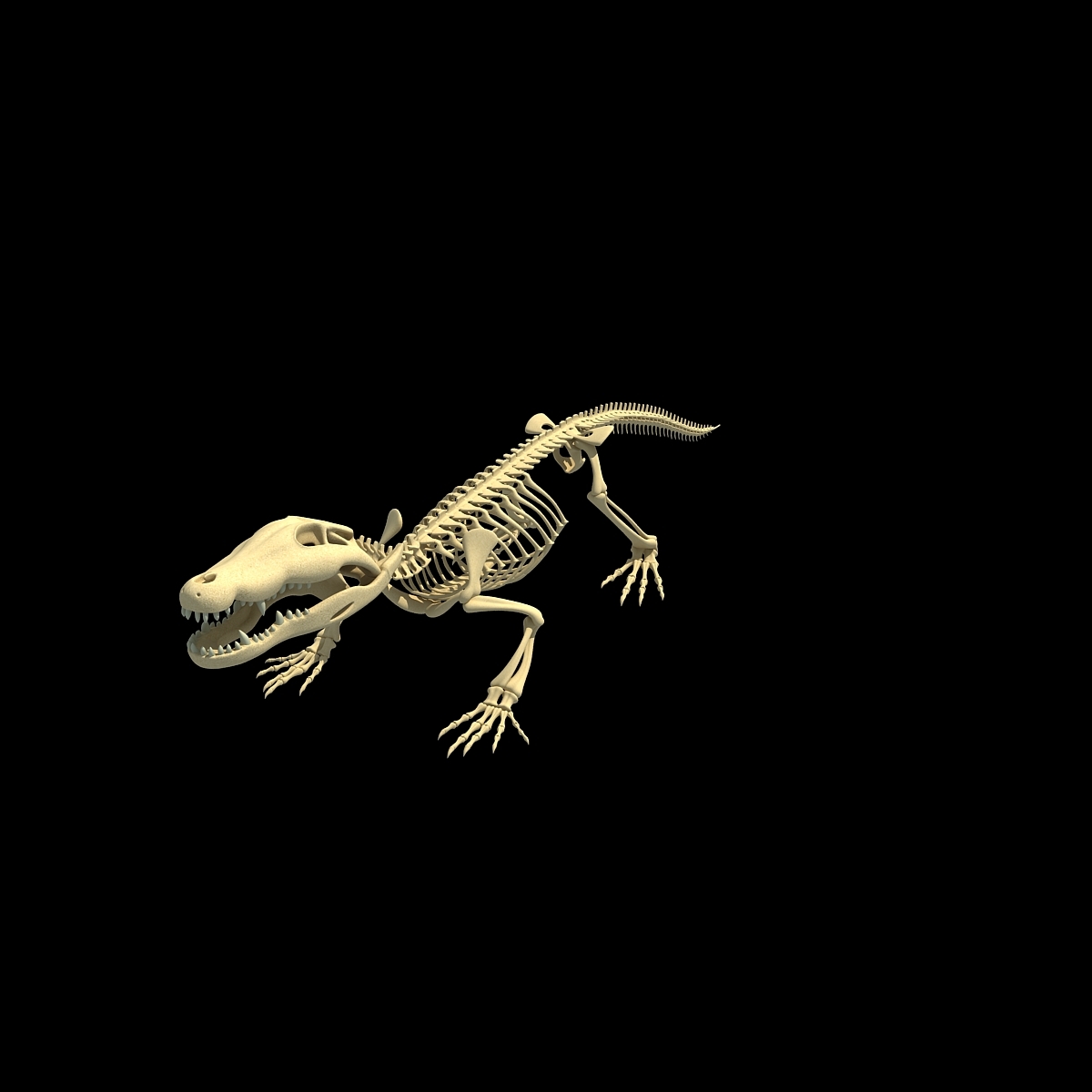 crocodile skeleton 3d max