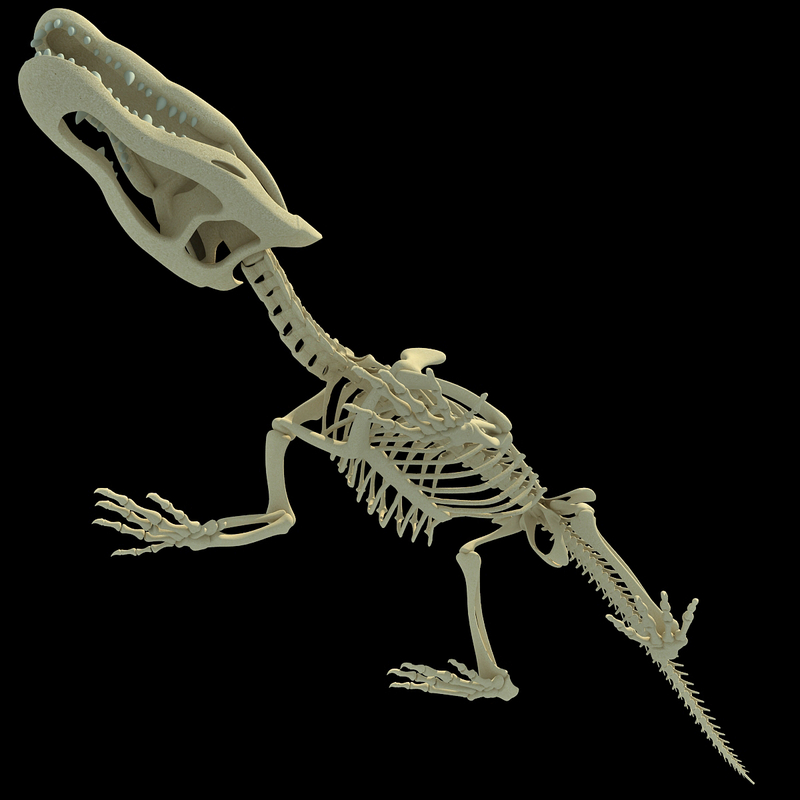 crocodile skeleton 3d max