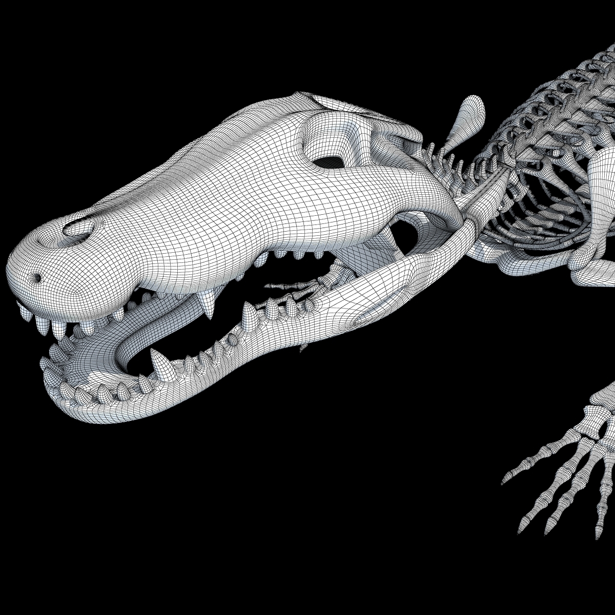 Crocodile Skeleton 3d Max crocodile-skeleton-3d-max