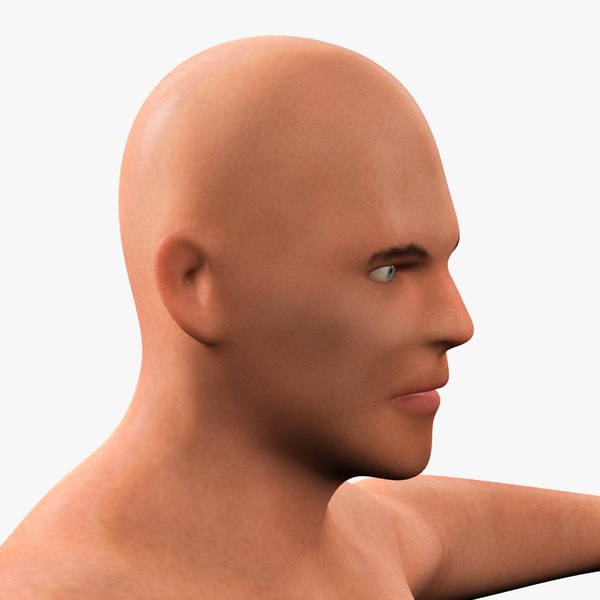 human base 3d model
