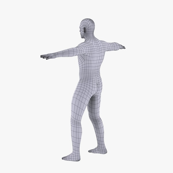 human base 3d model