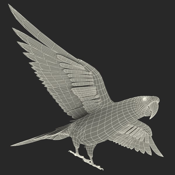 3d model scarlet macaw rigged bird
