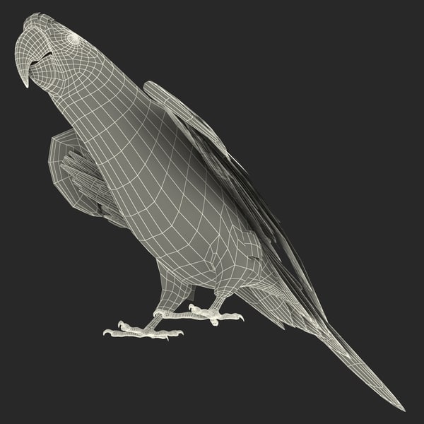 3d model scarlet macaw rigged bird