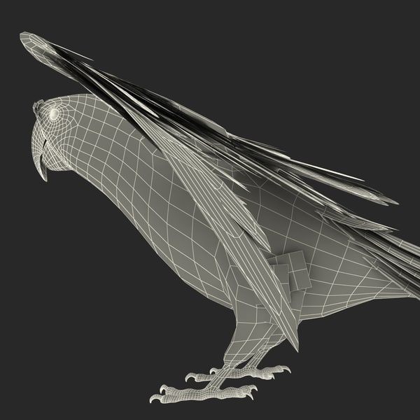 3d model scarlet macaw rigged bird